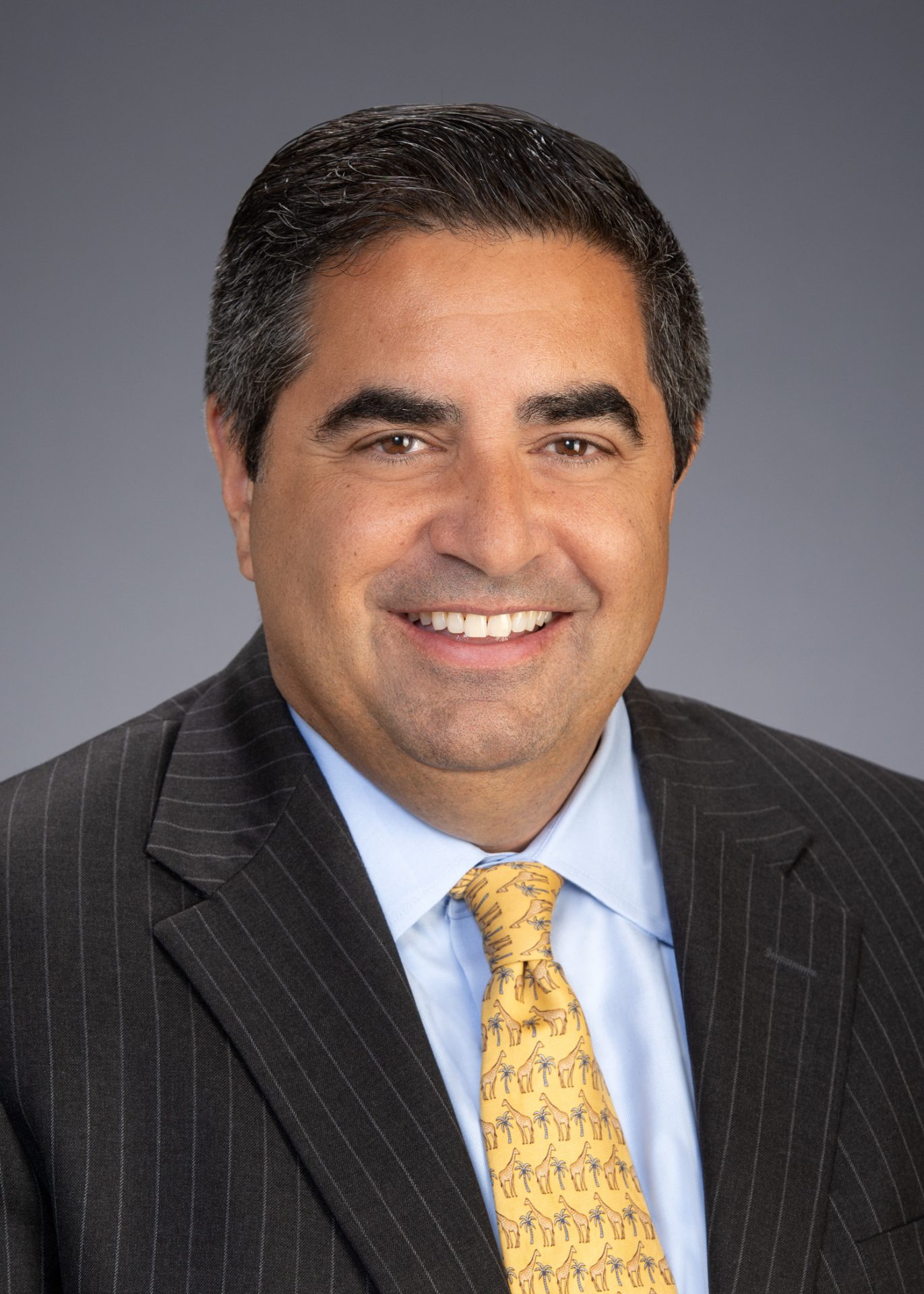 Ronald L. Greene | Hinman, Howard & Kattell, LLP Attorneys